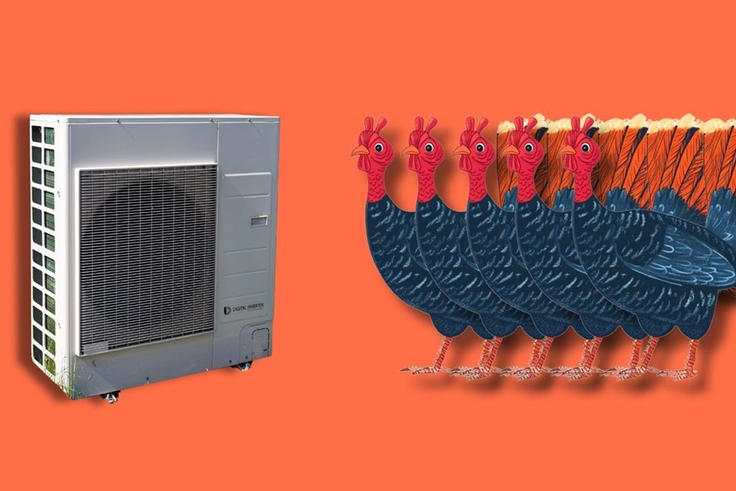 Heat pump Christmas energy savings "could cook 2,900 turkeys" | Heating ...